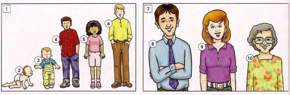 Learn Vocabulary Through Pictures - People and Physical Descriptions ...