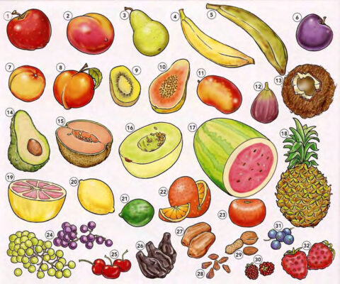 Learn Vocabulary Through Pictures - Fruits - English Practice Online