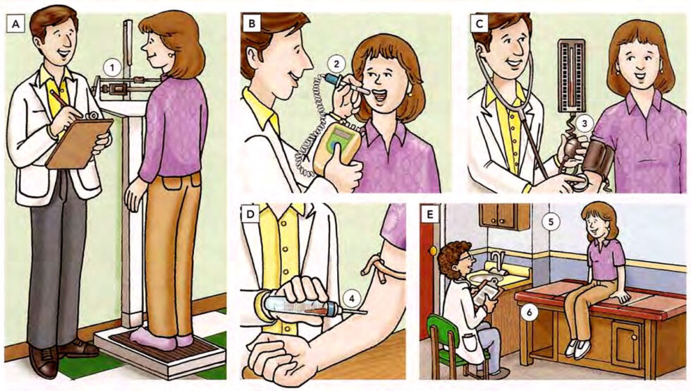 Learn Vocabulary Through Pictures - The Medical Exam - English Practice ...