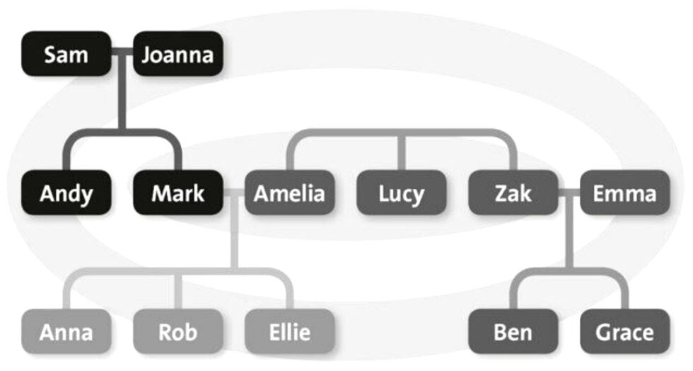 English Vocabulary Exercises for A1 - Family - English Practice Online