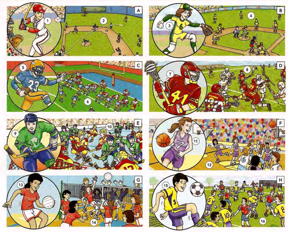 Learn Vocabulary Through Pictures - Team Sports - English Practice Online