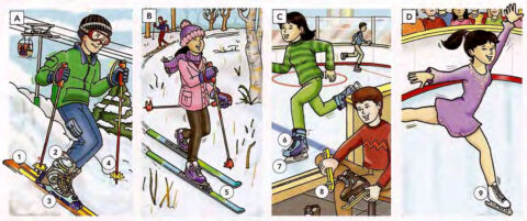 Learn Vocabulary Through Pictures - Winter Sports and Recreation ...