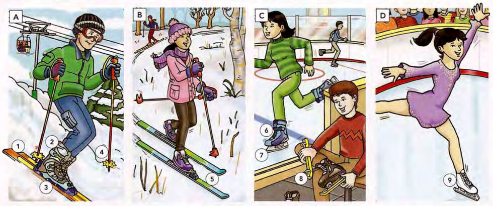 Learn Vocabulary Through Pictures - Winter Sports and Recreation ...